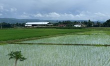 Zwischen Credit-Points und Kultur: Exkursion nach Indonesien